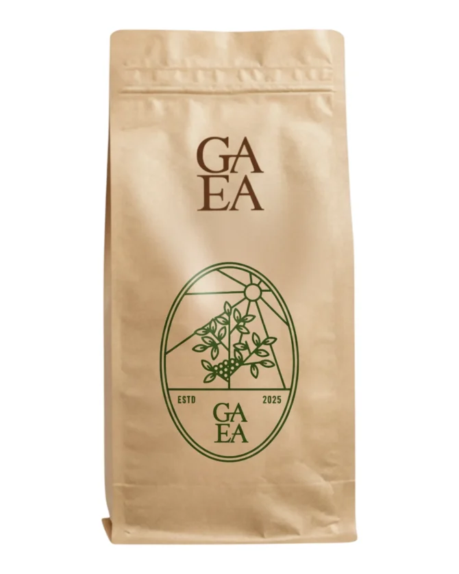 Cà Phê Hạt Fine Robusta Gia Lai – 1kg – GAEA